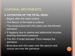 MECHANISM OF LABOUR.ppt