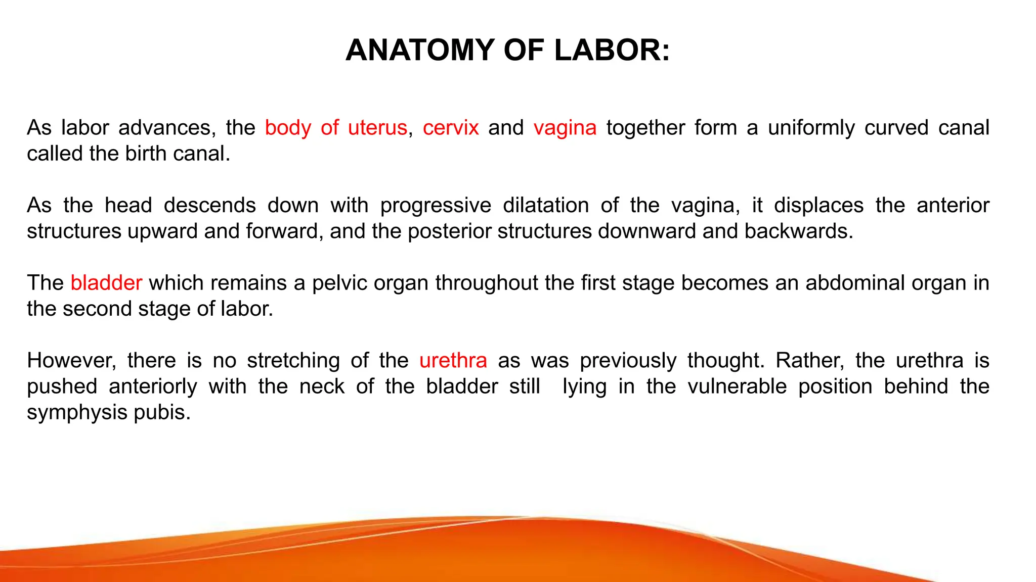 MECHANISM OF LABOUR.pptxcvzzdbfgffsssgsgsgsg | PPTX