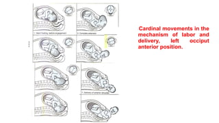 THE MECHANISM OF LABOUR EDFIERE .pptx
