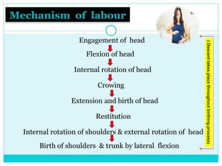 Mechanism of Labour and stages of labour | PDF