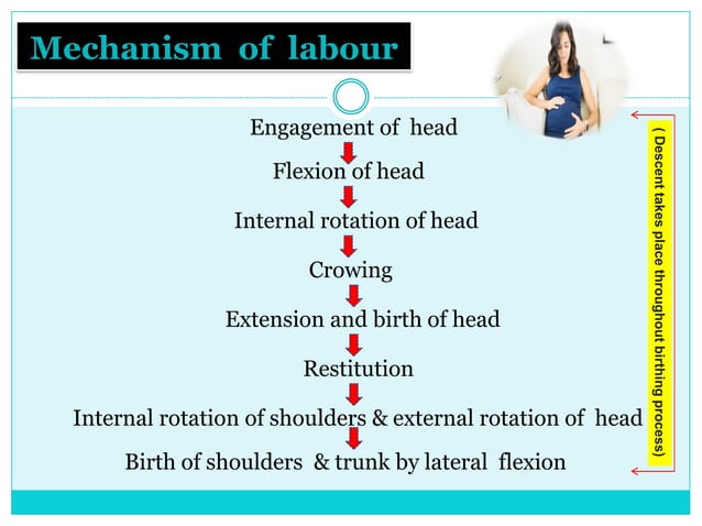 Mechanism of Labour and stages of labour | PDF