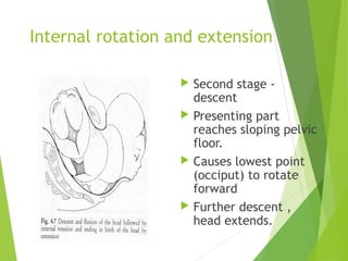 Mechanism of labour and use of partogram | PPT