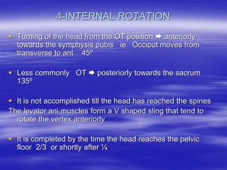 MECHANISM OF LABOUR (NORMAL and ABNORMAL).ppt