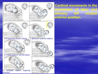 MECHANISM OF LABOUR (NORMAL and ABNORMAL).ppt
