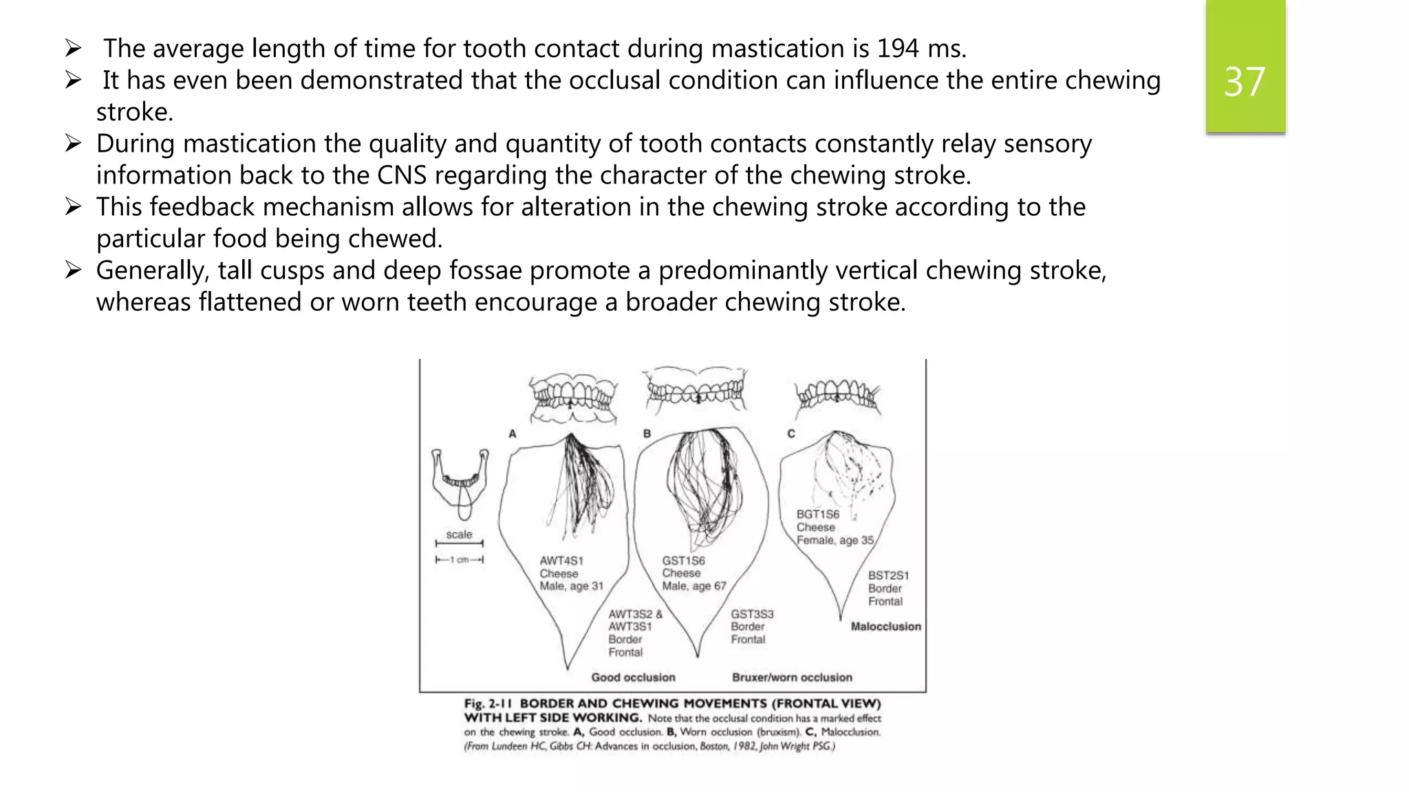 Mechanism of mastication | PPTX