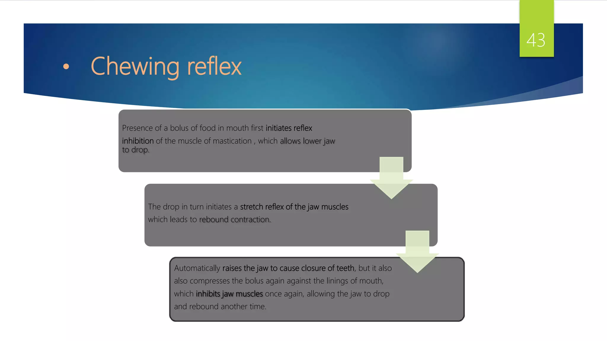 Mechanism of mastication | PPTX
