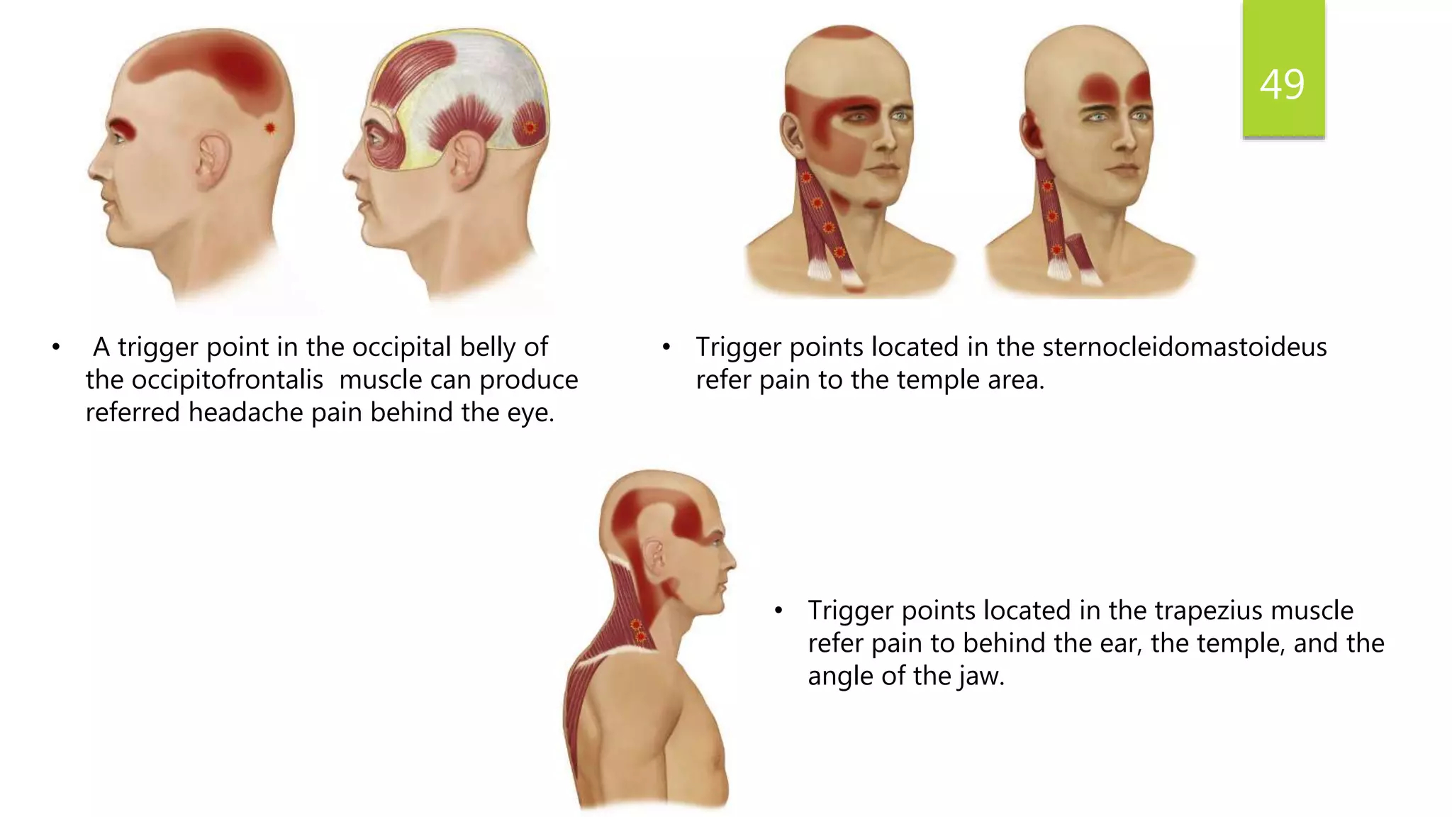 Mechanism of mastication | PPTX