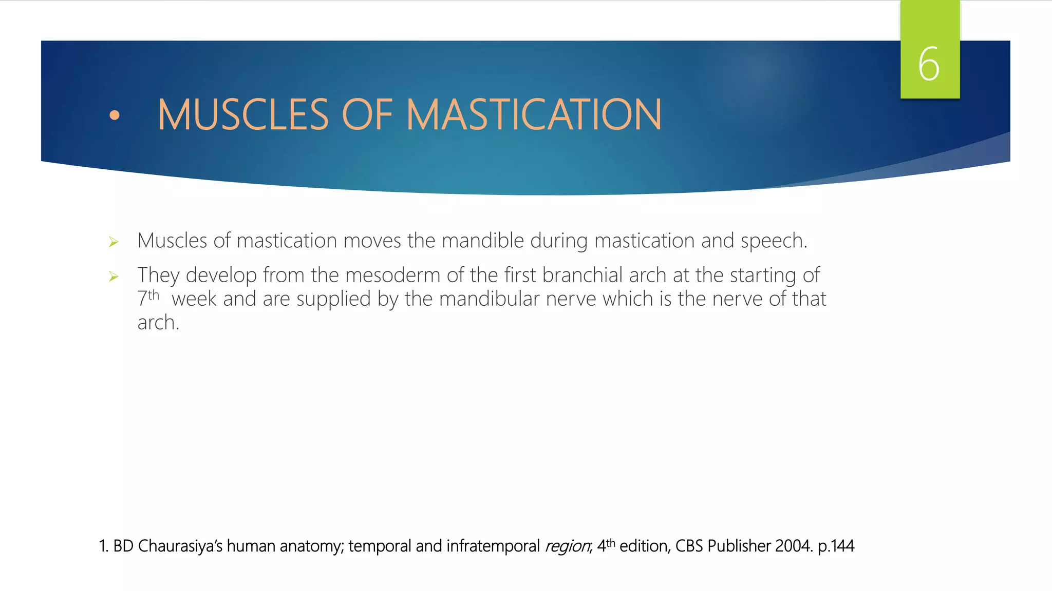 Mechanism of mastication | PPTX
