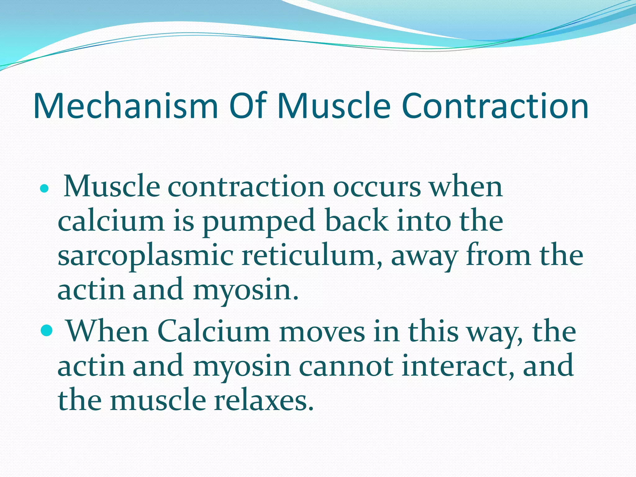 Mechanism of muscle contraction | PPTX