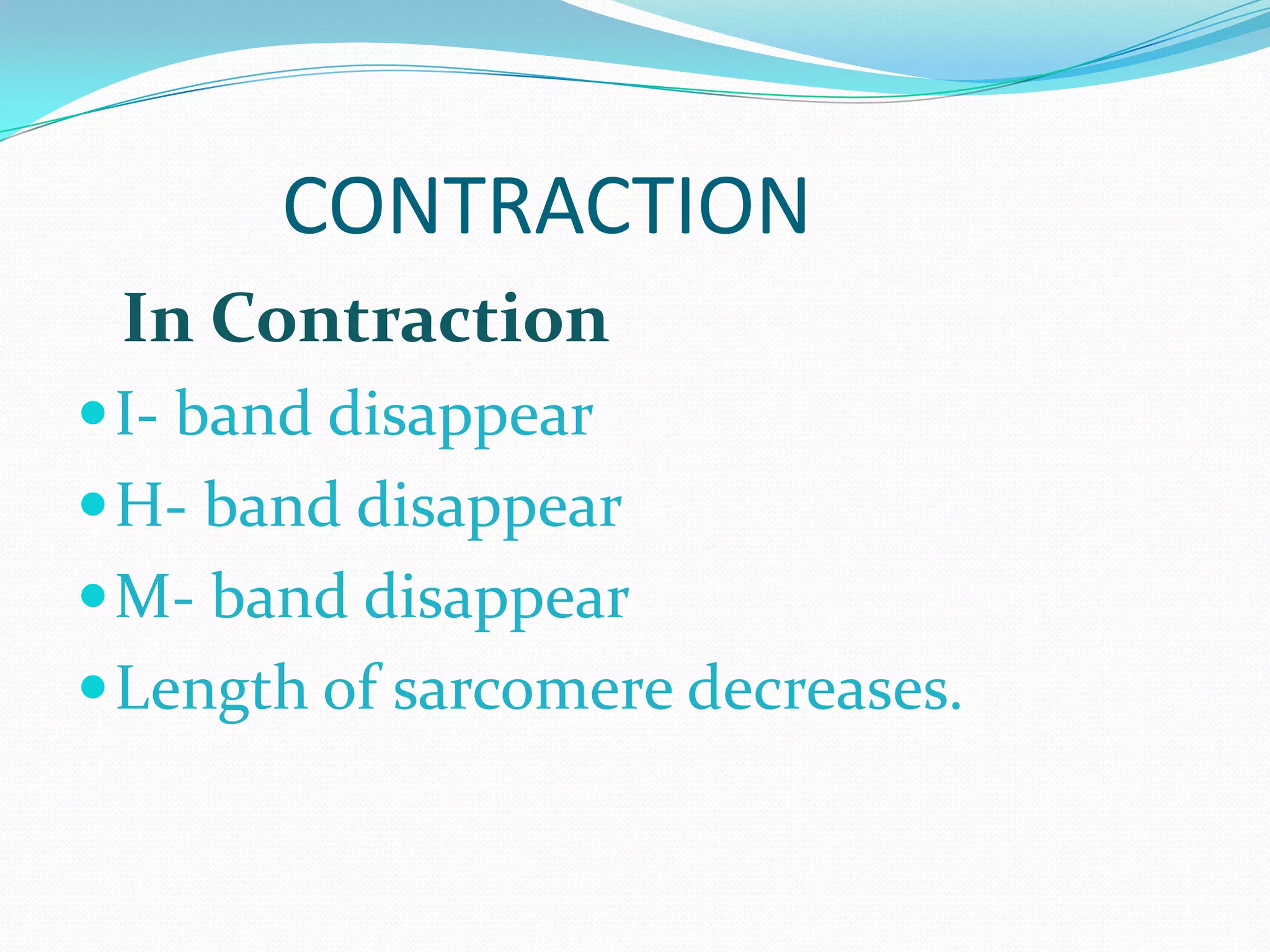 Mechanism of muscle contraction | PPTX