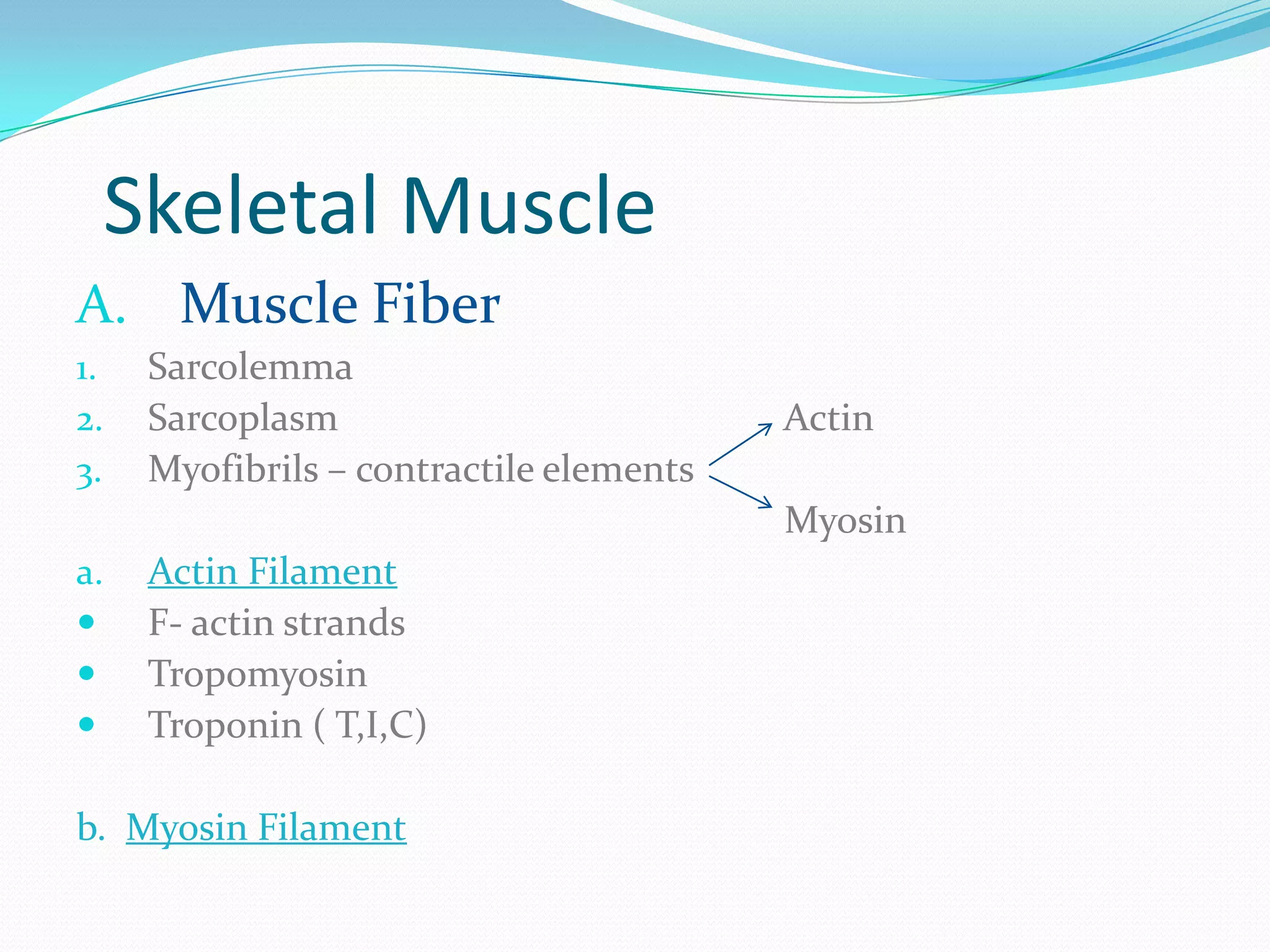 Mechanism of muscle contraction | PPTX
