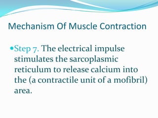 Mechanism of muscle contraction | PPTX