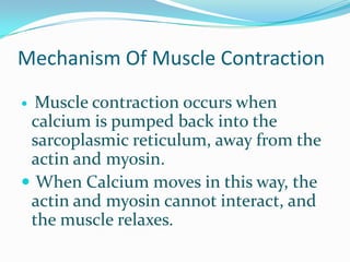 Mechanism of muscle contraction | PPTX