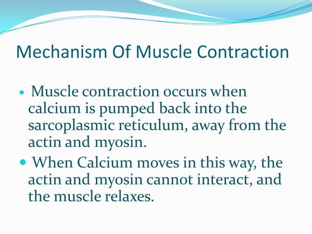 Mechanism of muscle contraction | PPTX | Biological Sciences | Science