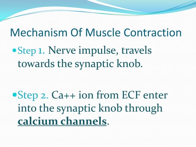 Mechanism of muscle contraction | PPTX | Biological Sciences | Science