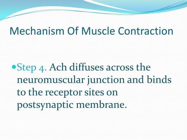 Mechanism of muscle contraction | PPTX | Biological Sciences | Science