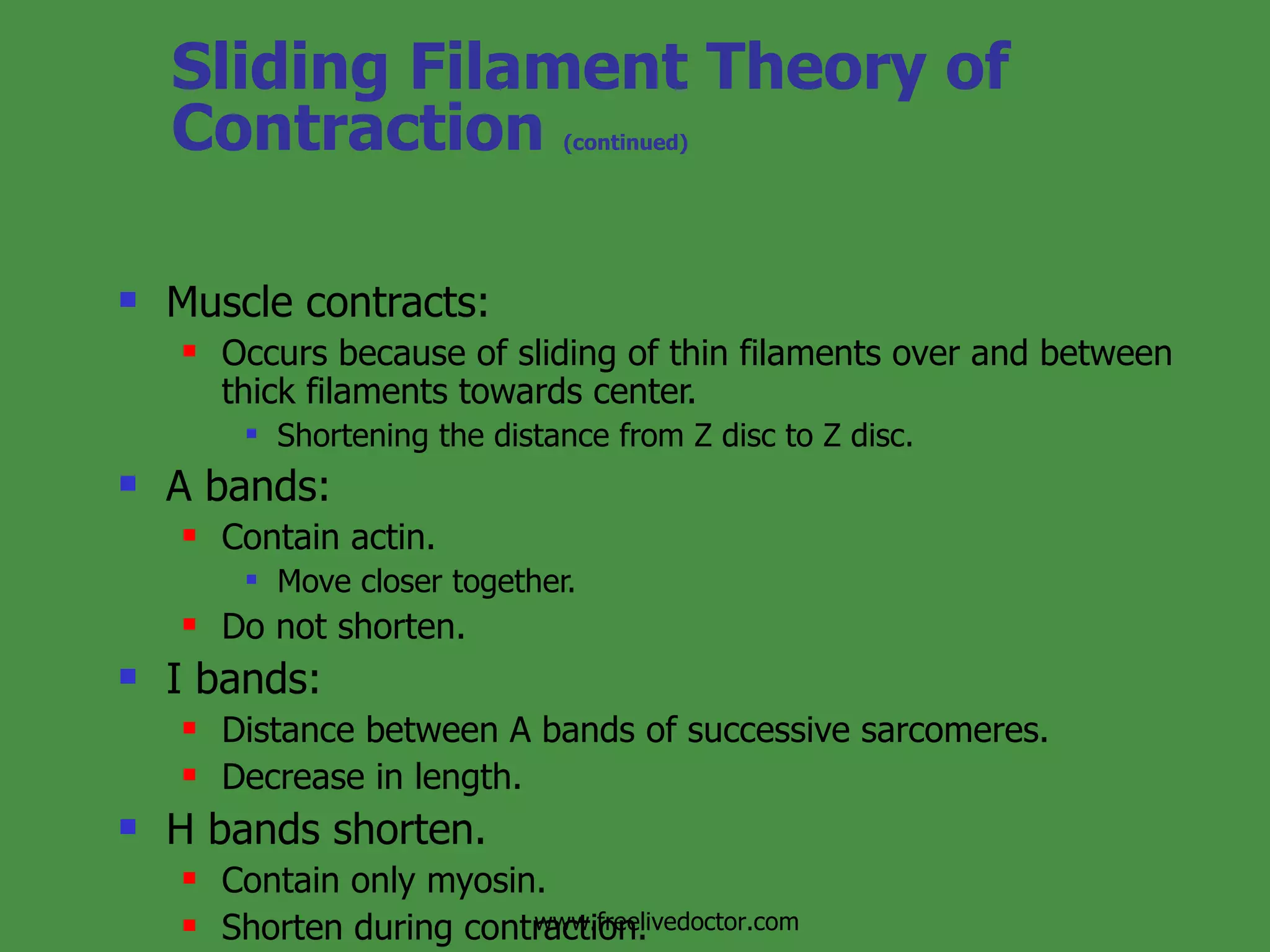 Mechanism Of Muscle Contraction&Neural Control | PPT