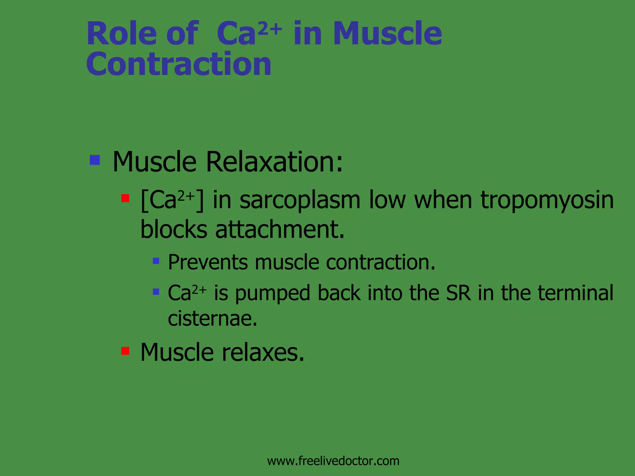 Mechanism Of Muscle Contraction&Neural Control | PPT