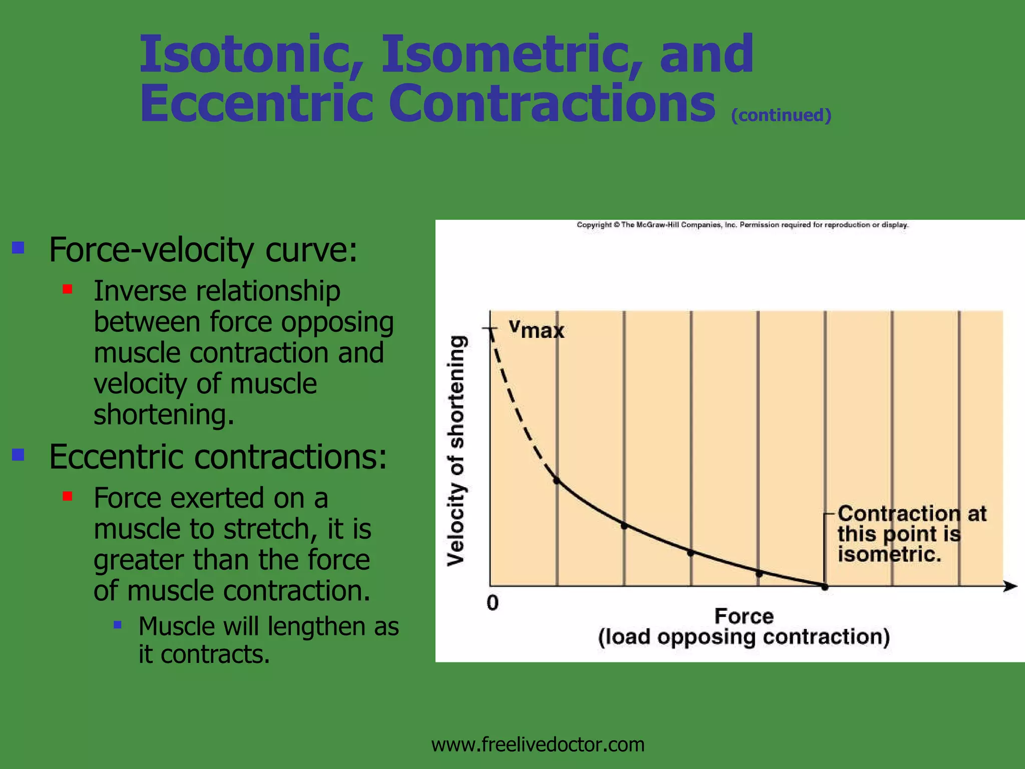 Mechanism Of Muscle Contraction&Neural Control | PPT