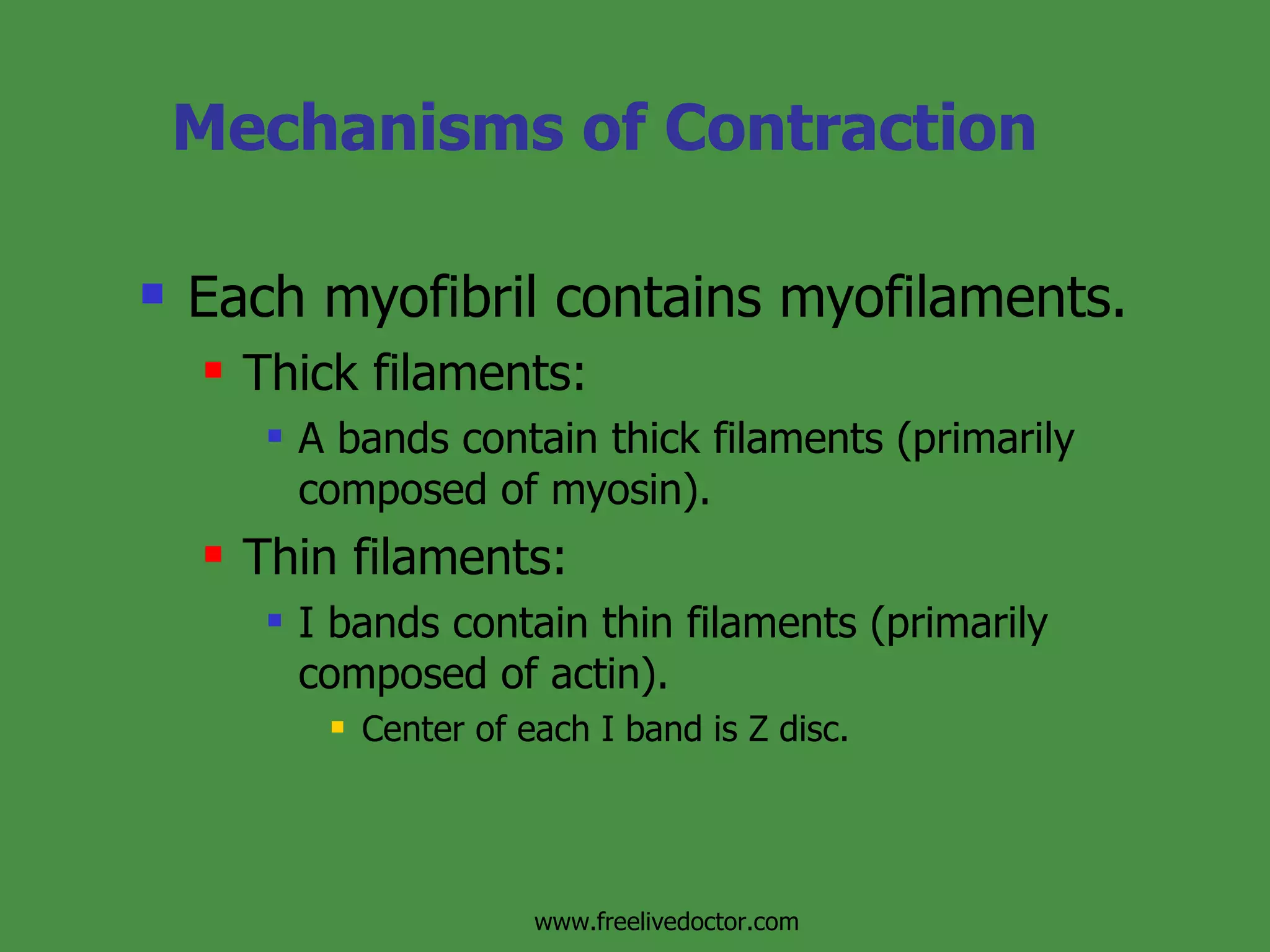 Mechanism Of Muscle Contraction&Neural Control | PPT