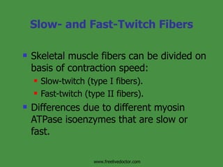Mechanism Of Muscle Contraction&Neural Control | PPT