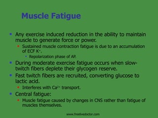 Mechanism Of Muscle Contraction&Neural Control | PPT