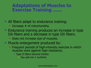 Mechanism Of Muscle Contraction&Neural Control | PPT