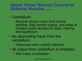 Mechanism Of Muscle Contraction&Neural Control | PPT