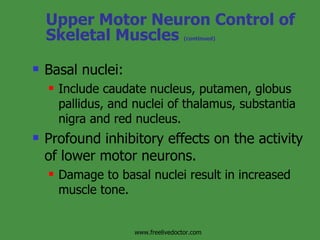 Mechanism Of Muscle Contraction&Neural Control | PPT