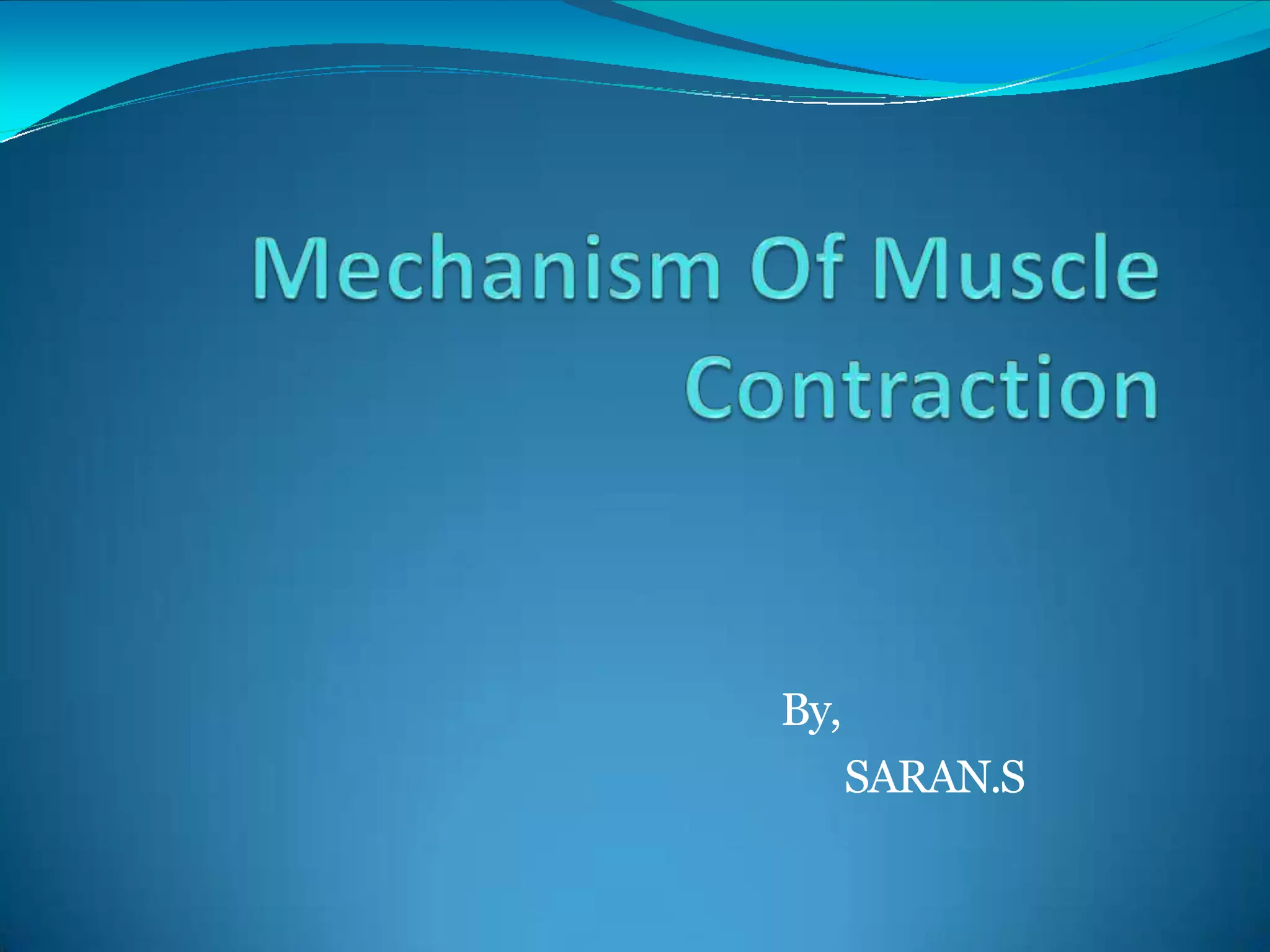 Mechanism of muscle contraction (saran.s) | PPTX