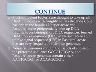 Mechanism of natural competence by Jaimin Maheta | PPTX