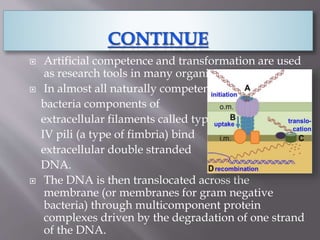 Mechanism of natural competence by Jaimin Maheta | PPTX