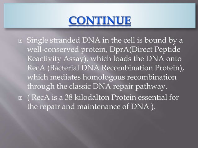 Mechanism of natural competence by Jaimin Maheta | PPTX