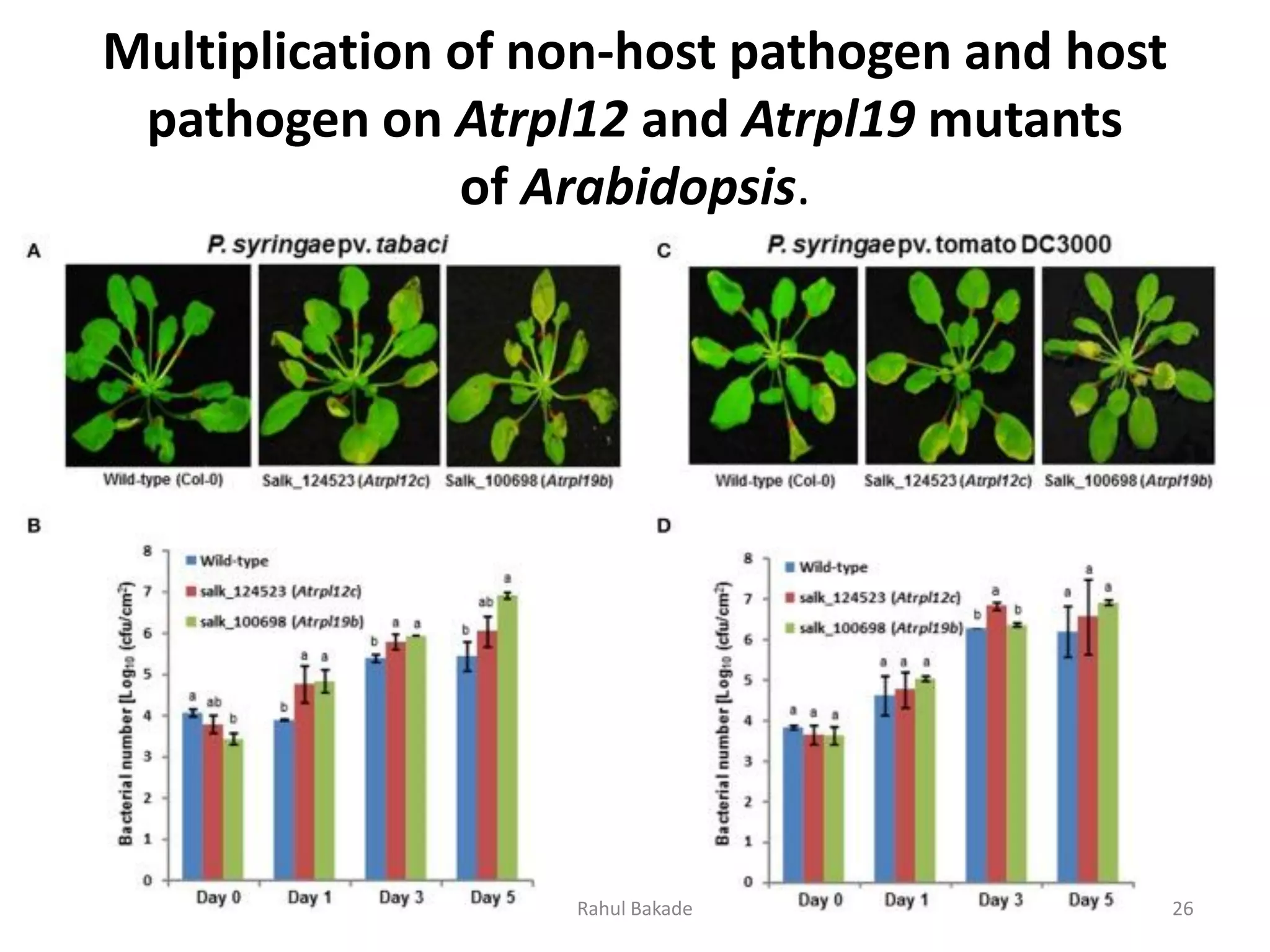 Mechanism of non host resistance against bacterial pathogens | PDF