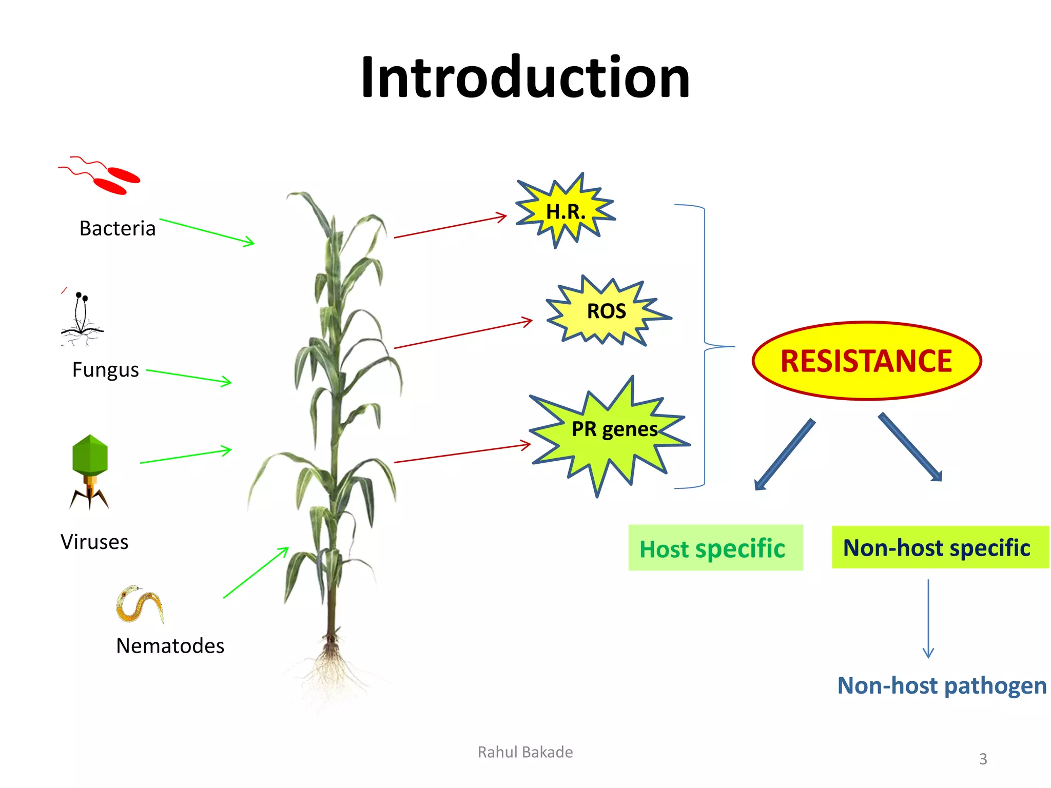 Mechanism of non host resistance against bacterial pathogens | PDF