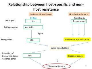 Mechanism of non host resistance against bacterial pathogens | PPT