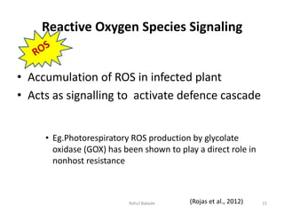 Mechanism of non host resistance against bacterial pathogens | PDF