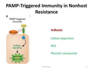 Mechanism of non host resistance against bacterial pathogens | PPT
