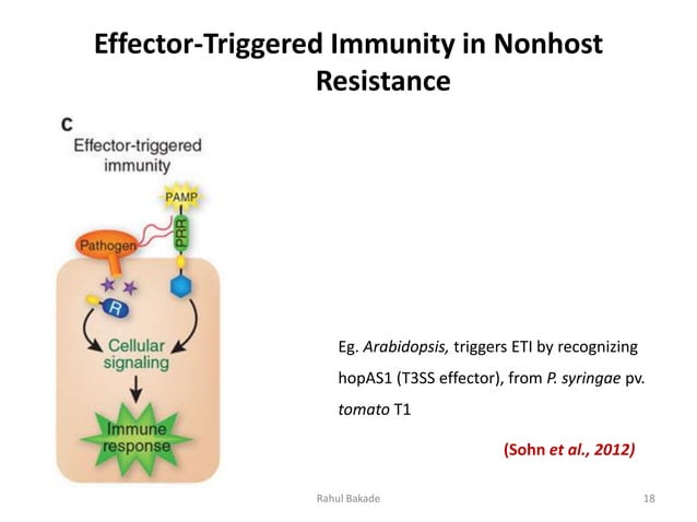 Mechanism of non host resistance against bacterial pathogens | PPT