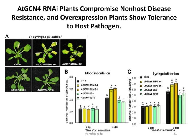 Mechanism of non host resistance against bacterial pathogens | PPT