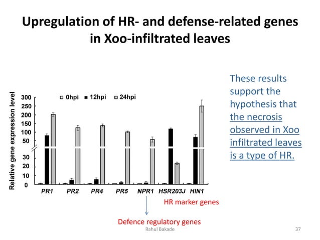Mechanism of non host resistance against bacterial pathogens | PPT