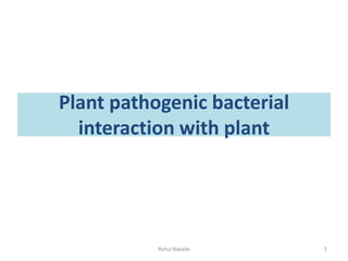 Mechanism of non host resistance against bacterial pathogens | PDF