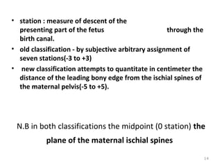 Mechanism of normal labor | PPT