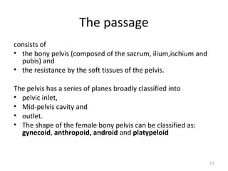 Mechanism of normal labor | PPT