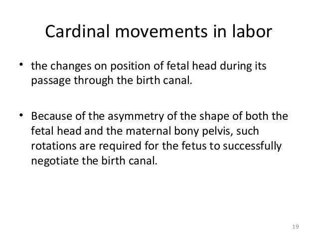 Stages of labor and cardinal movements - frosdacademy