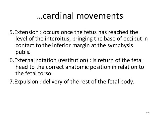 7 cardinal movements of labor pdf - wholesaleasse