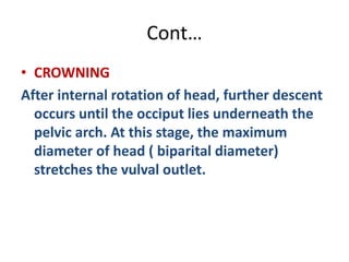 MECHANISM OF NORMAL LABOR it is important topic of all catteries ...
