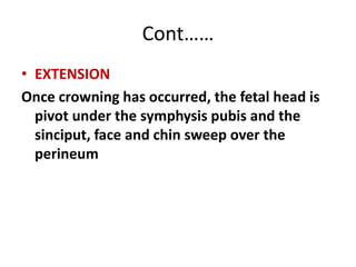 MECHANISM OF NORMAL LABOR it is important topic of all catteries ...