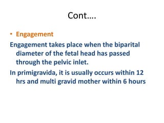 MECHANISM OF NORMAL LABOR it is important topic of all catteries ...