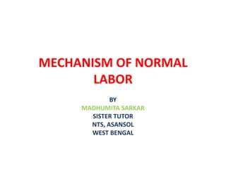 MECHANISM OF NORMAL LABOR it is important topic of all catteries ...